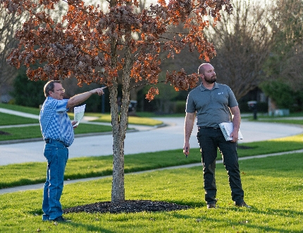 Vertical Mulching and Radial Trenching in Tennessee | Cortese