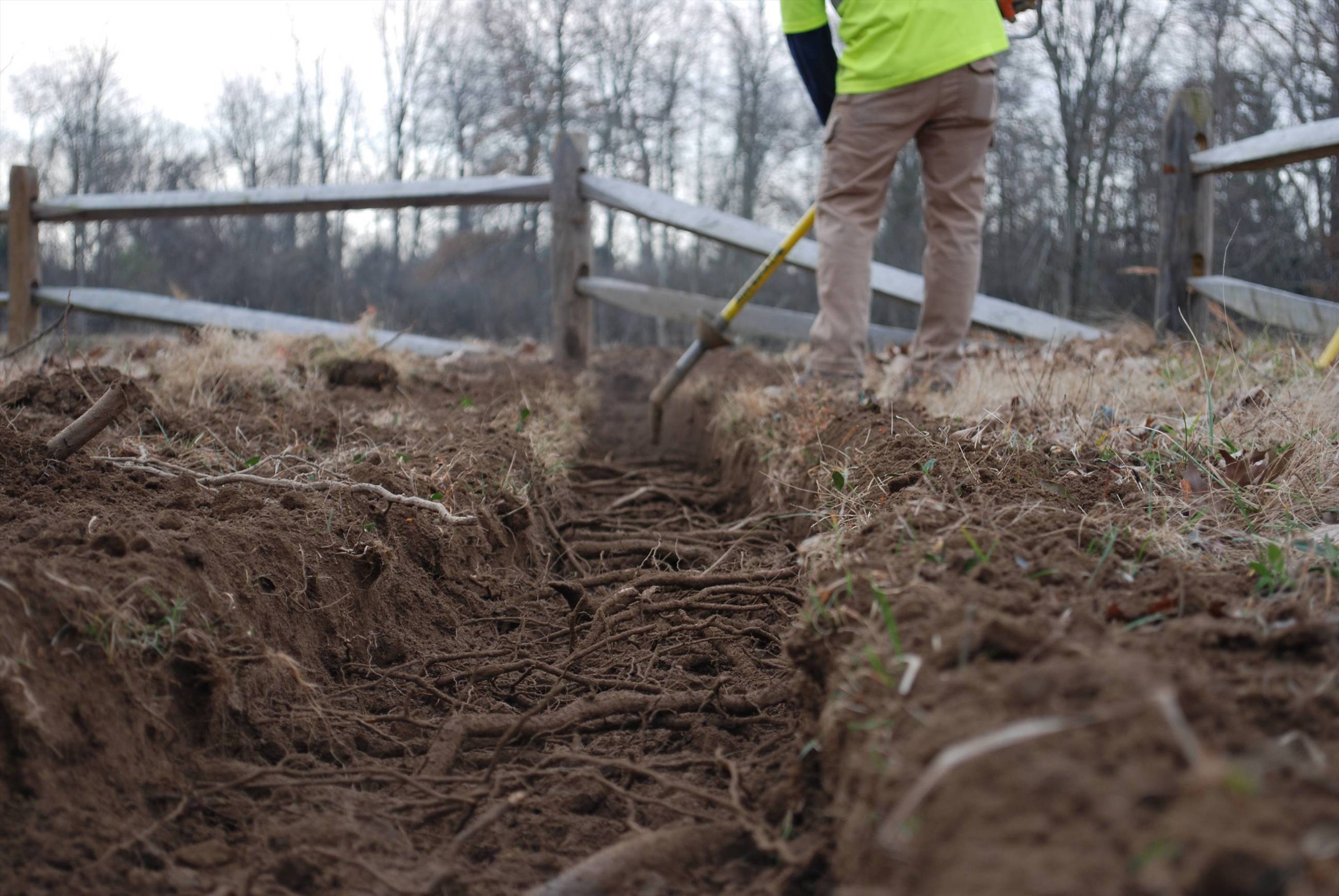 Vertical Mulching and Radial Trenching in Tennessee | Cortese